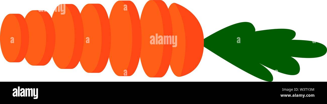 Carrot cut in slices, illustration, vector on white background Stock ...