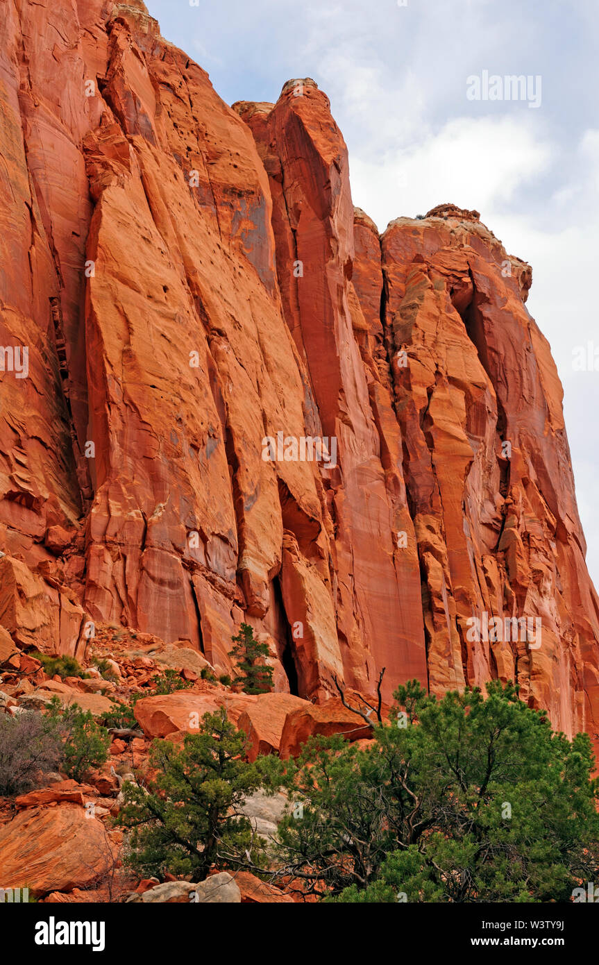 Red Rock Cliffs in Spring Canyon in Capital Reef National Park Stock ...