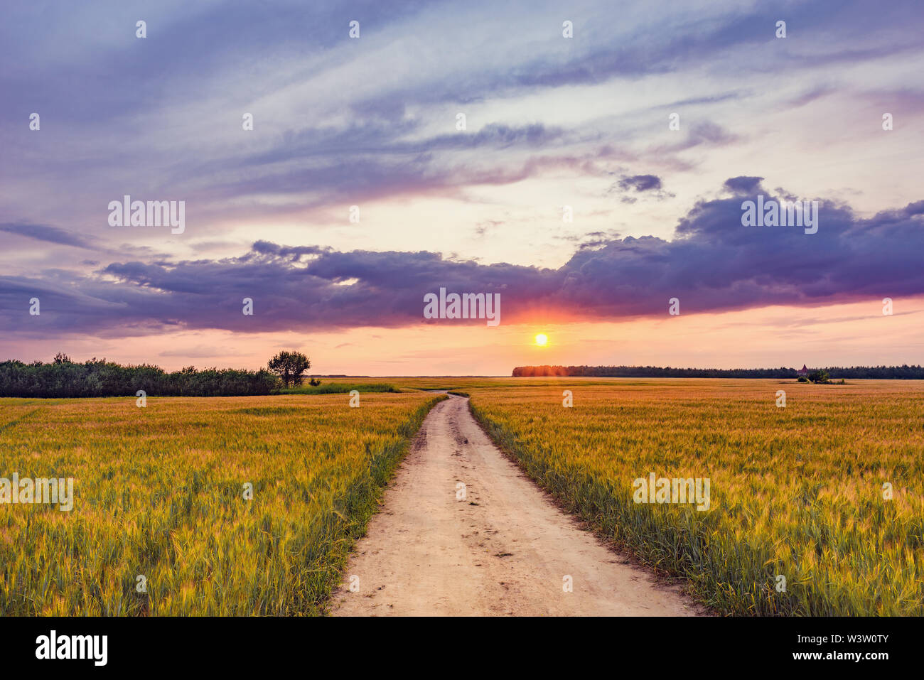 Field with rye and road at sunset time Stock Photo - Alamy