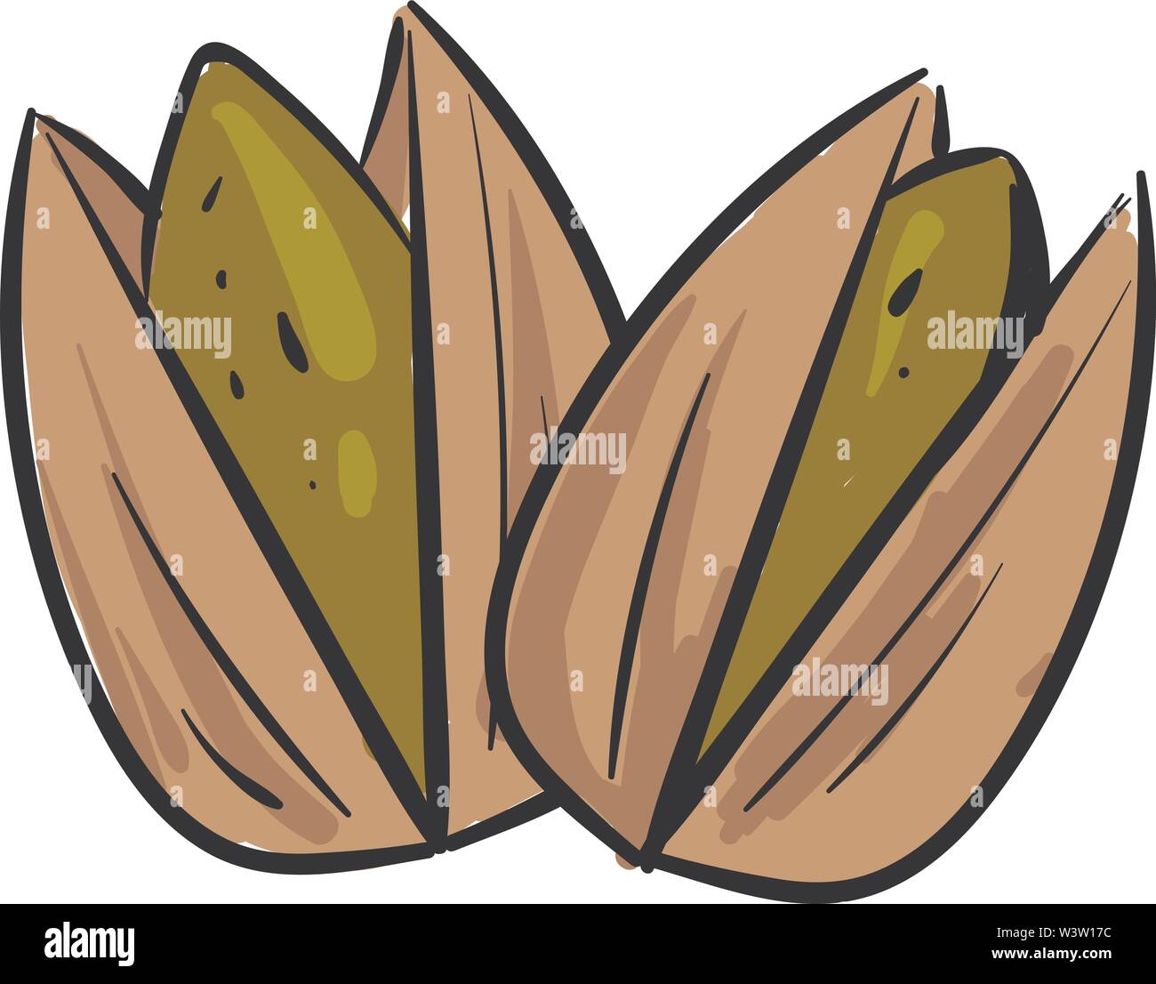 Roasted nuts, on white Stock Vector Images - Alamy