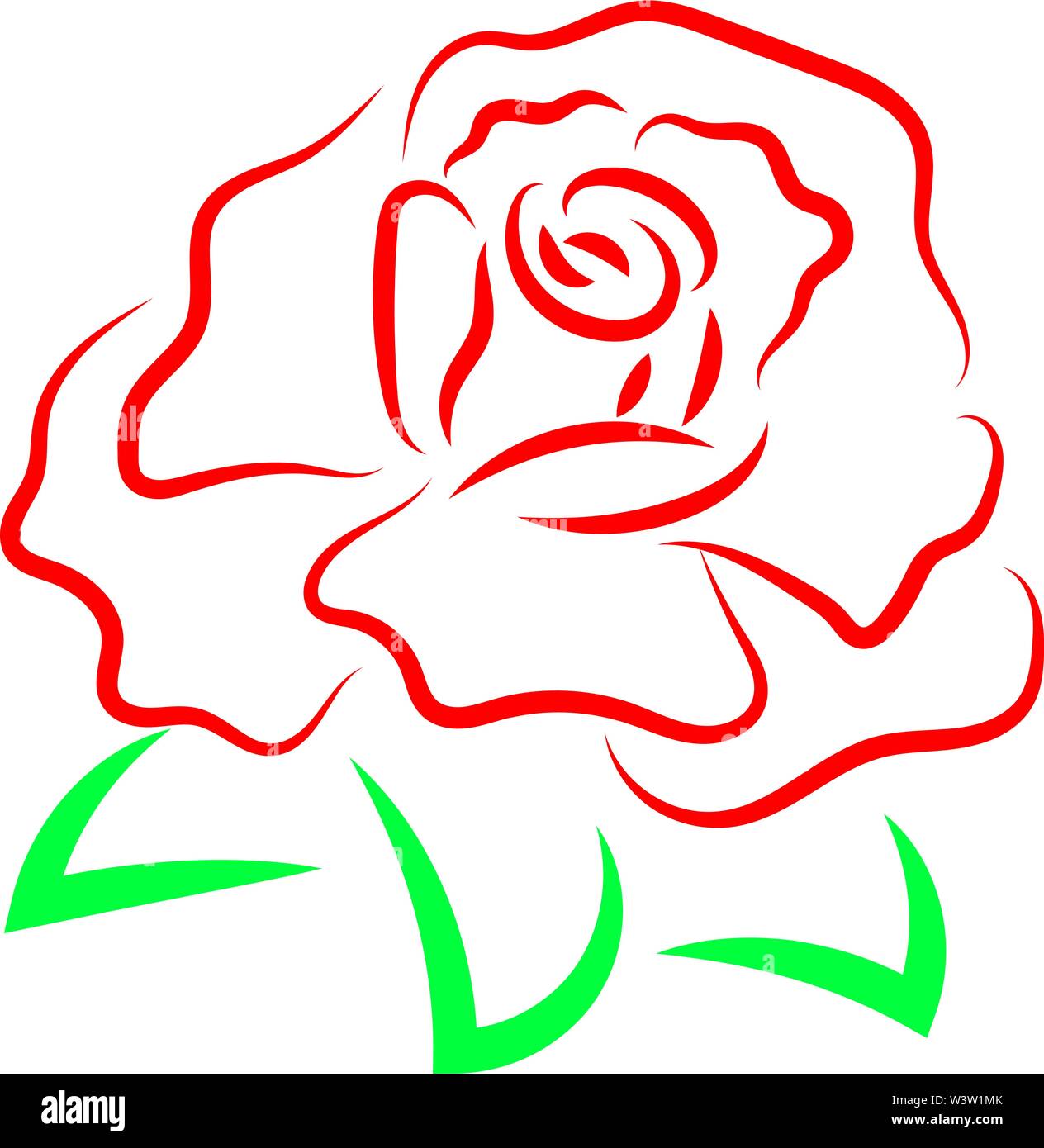 Red rose drawing, illustration, vector on white background Stock Vector ...
