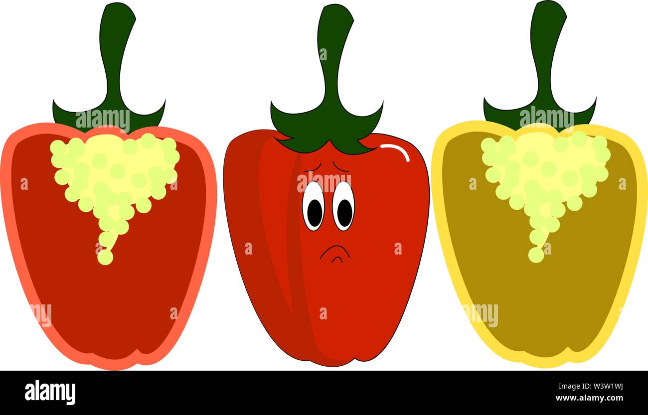 Sad red pepper, illustration, vector on white background Stock Vector ...