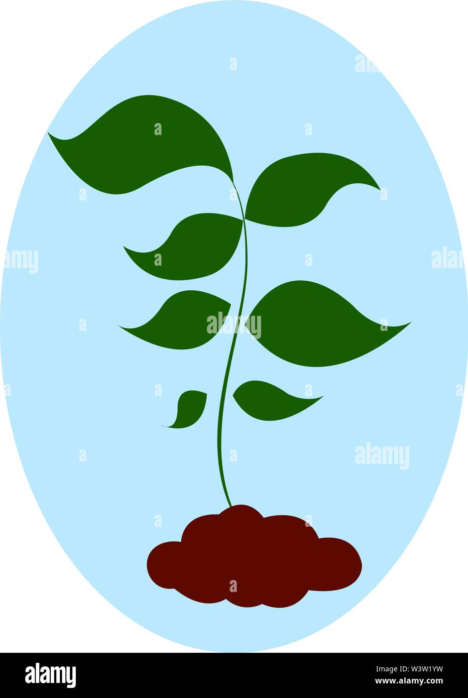 Fresh seedling, illustration, vector on white background Stock Vector ...