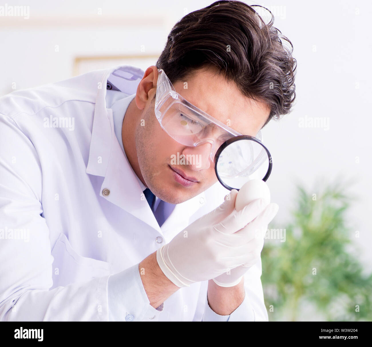 The two lab doctor testing food products Stock Photo - Alamy
