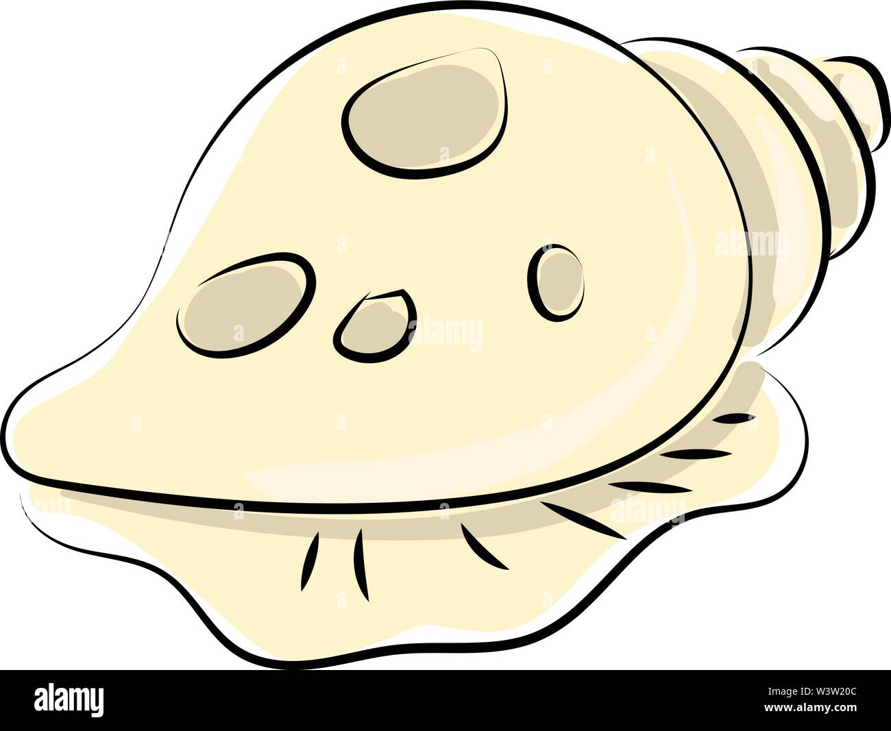 Shell drawing, illustration, vector on white background Stock Vector ...