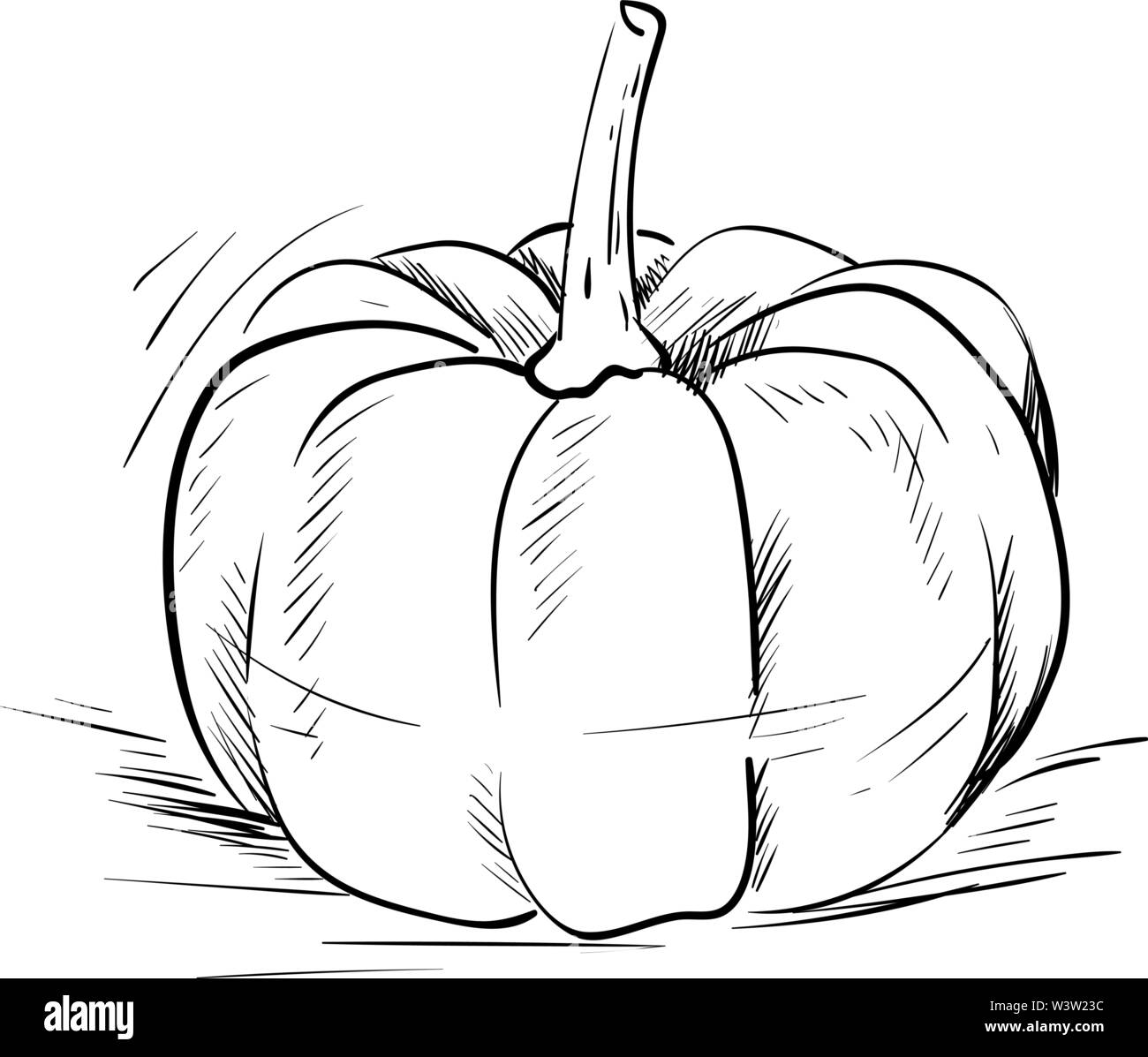 Line art drawing pumpkin Cut Out Stock Images & Pictures - Alamy