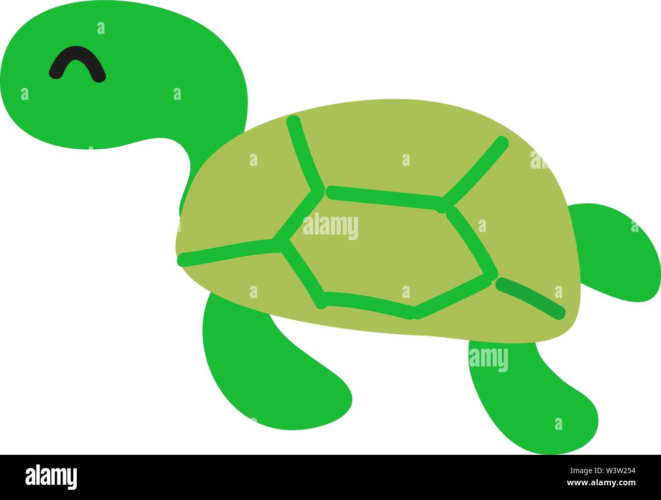 Cute Turtle White Background