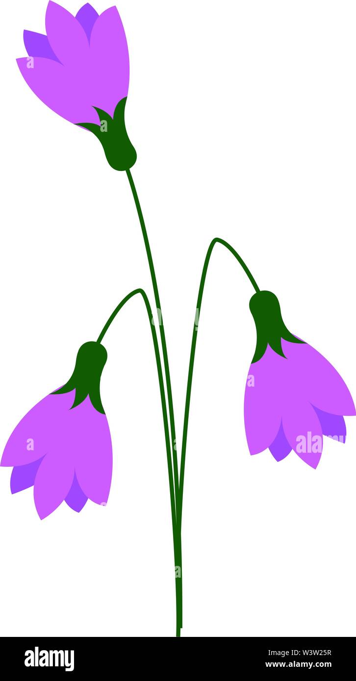 Snowdrops isolated on white Stock Vector Images - Alamy