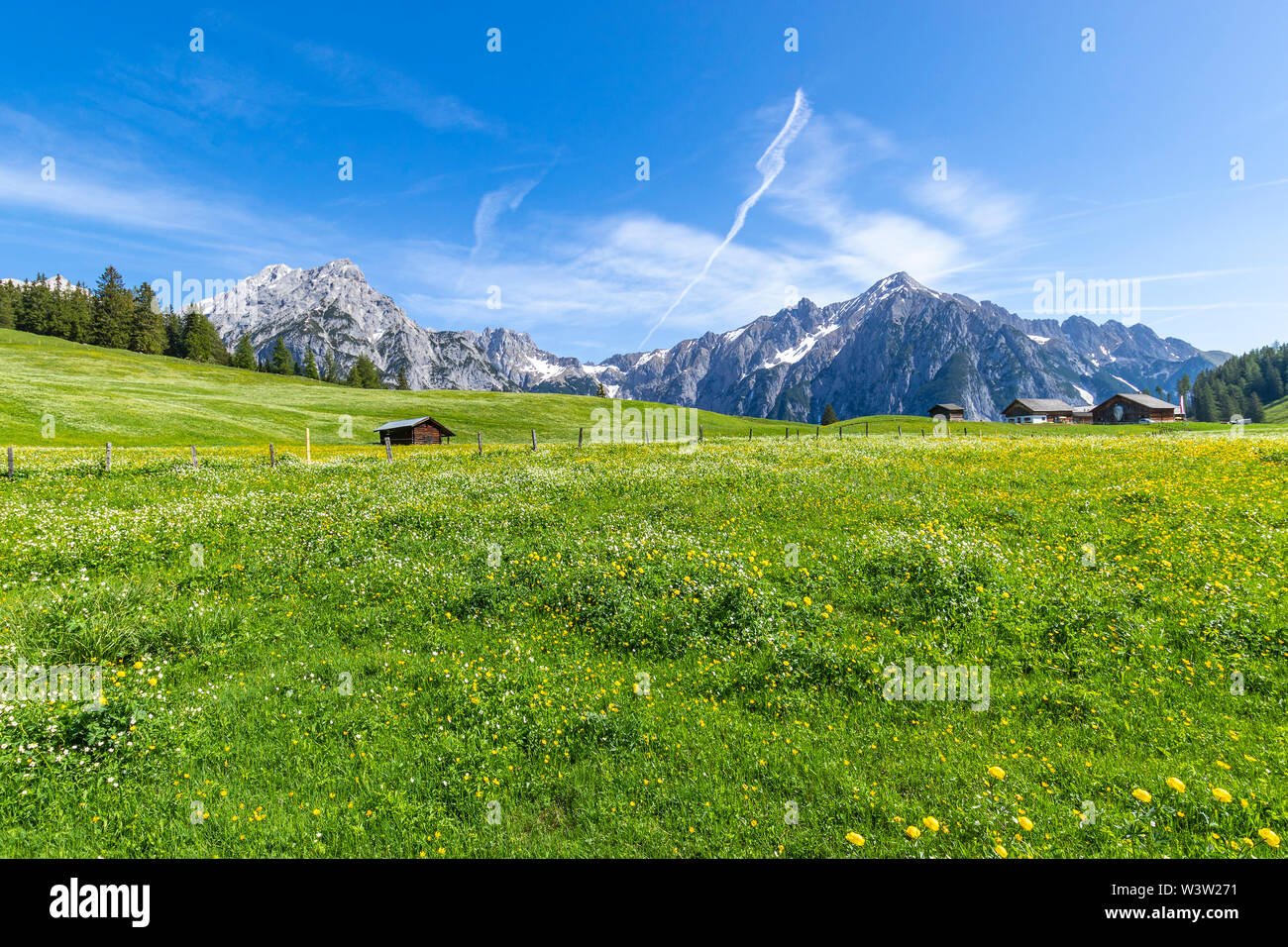 Austria tyrol meadow mountains flowers hi-res stock photography and ...