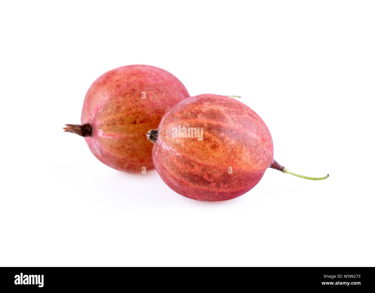 Gooseberries Red Gooseberry Isolated On White Background Stock Photo ...