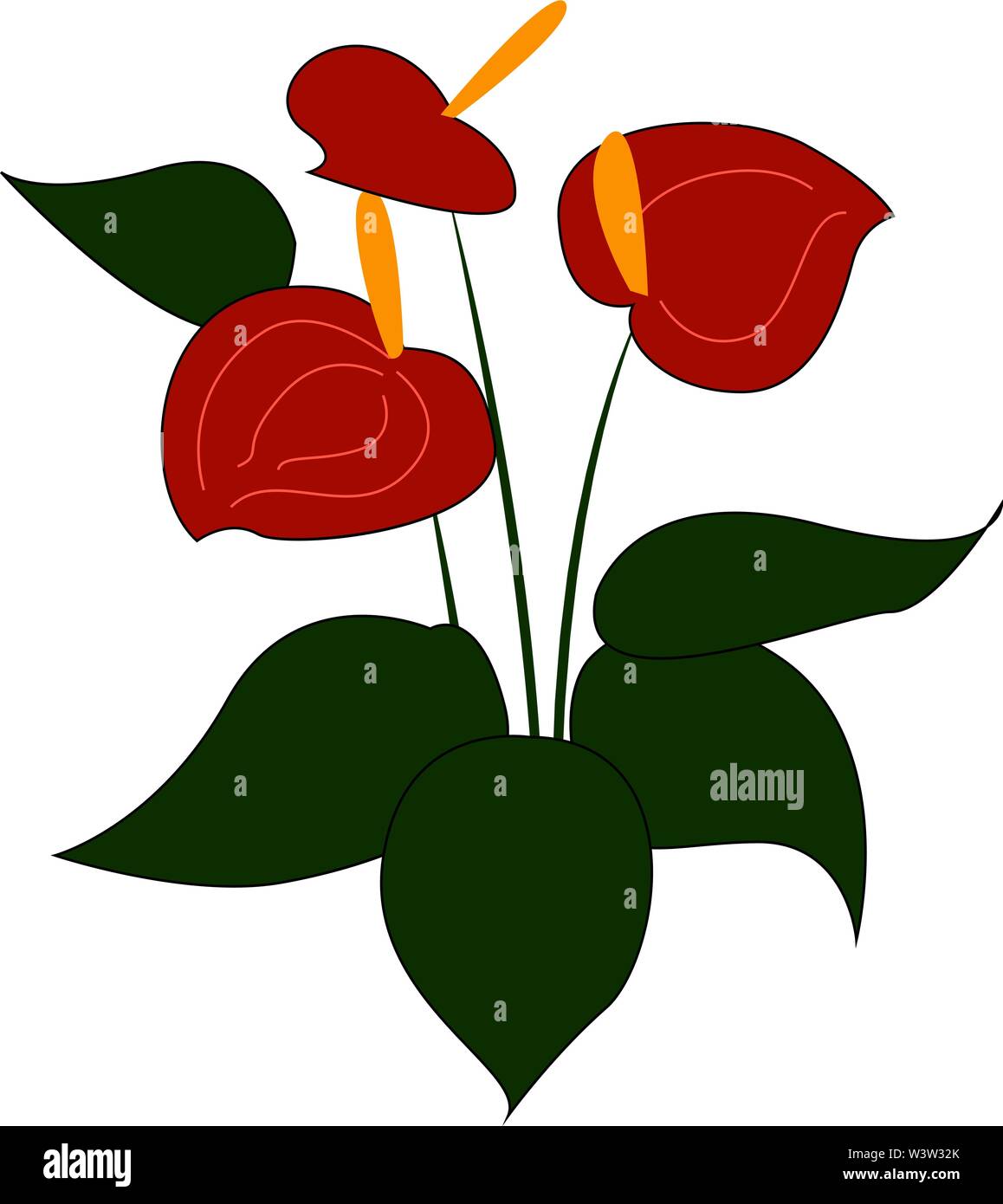 Red anthurium, illustration, vector on white background Stock Vector ...