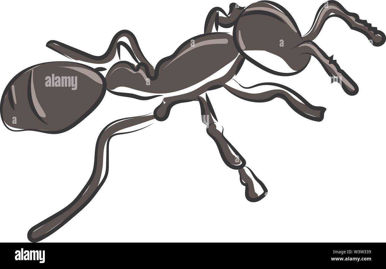 Ant, line, team Black and White Stock Photos & Images - Alamy