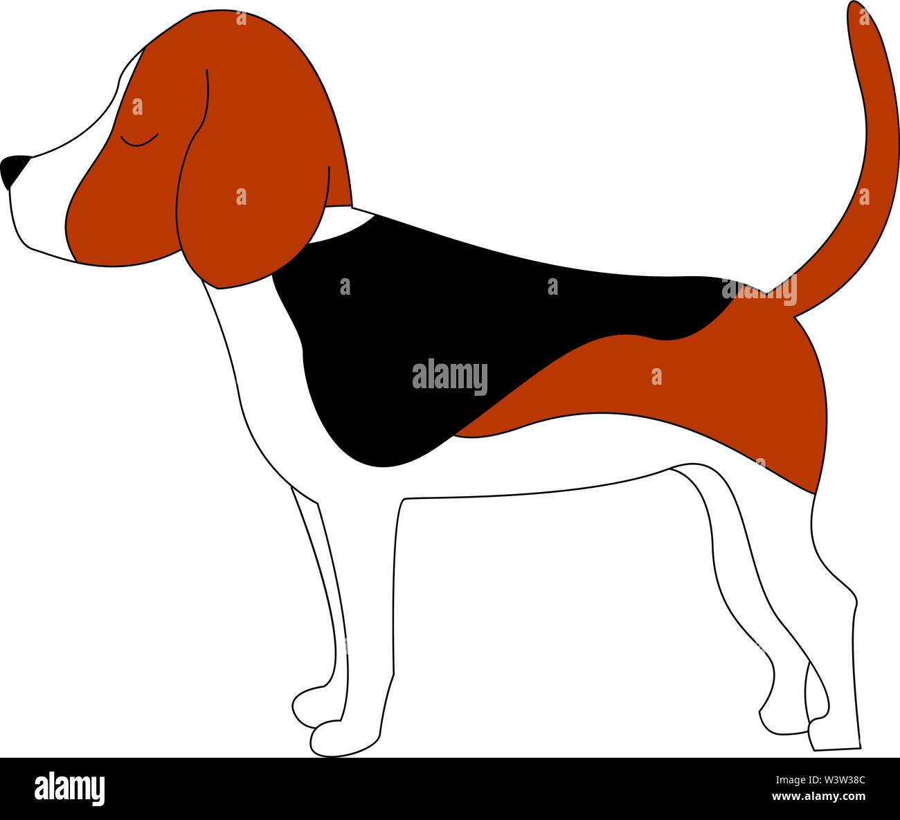 Beagle standing, illustration, vector on white background Stock Vector ...