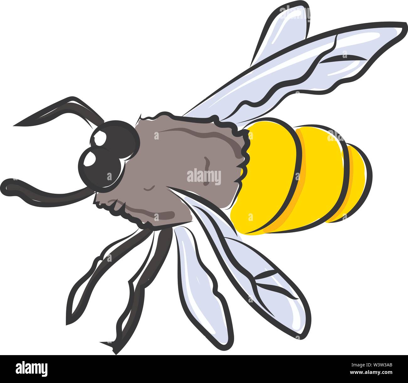 Bee drawing hi-res stock photography and images - Alamy