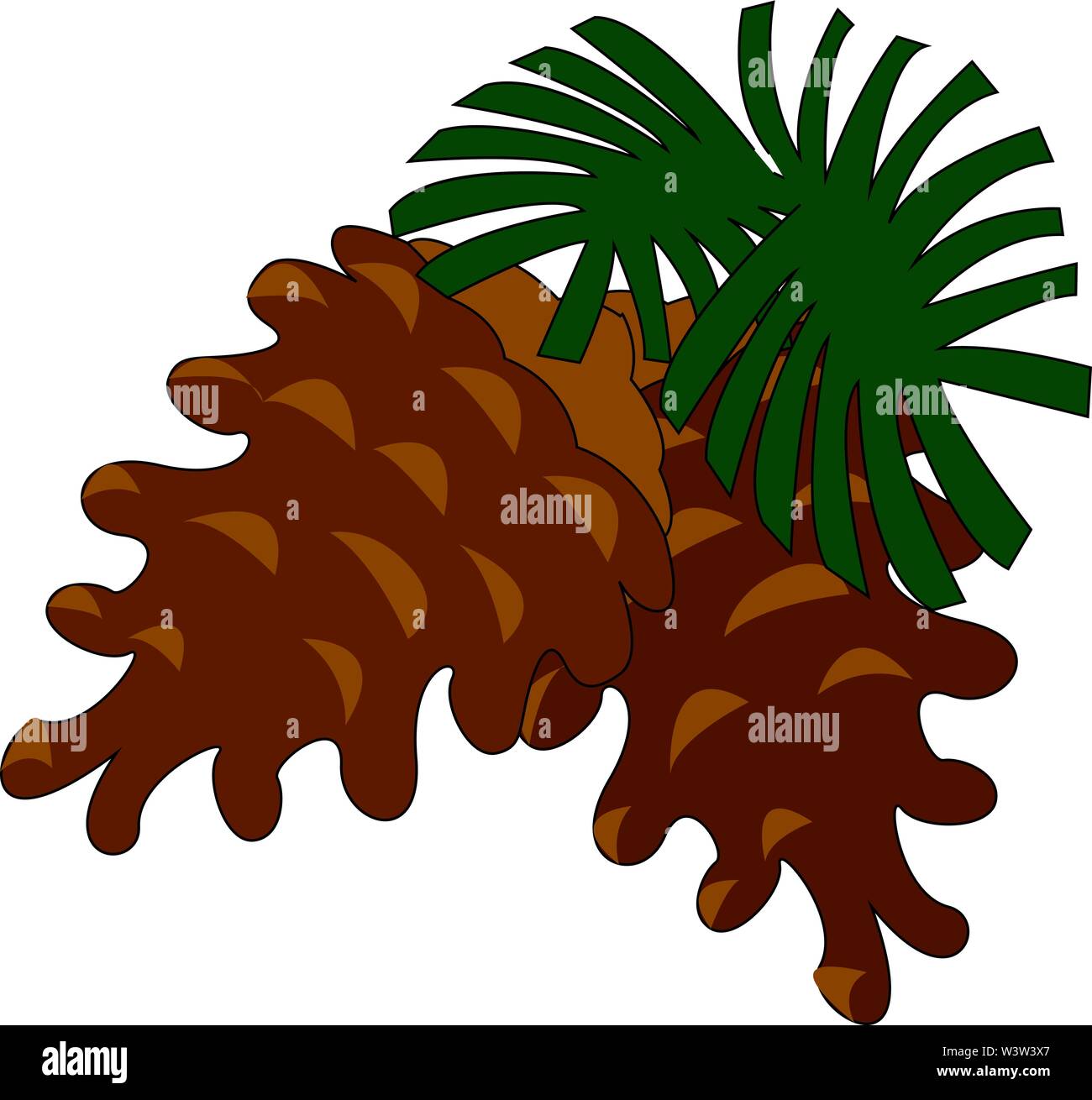 Conifer cone, illustration, vector on white background Stock Vector ...