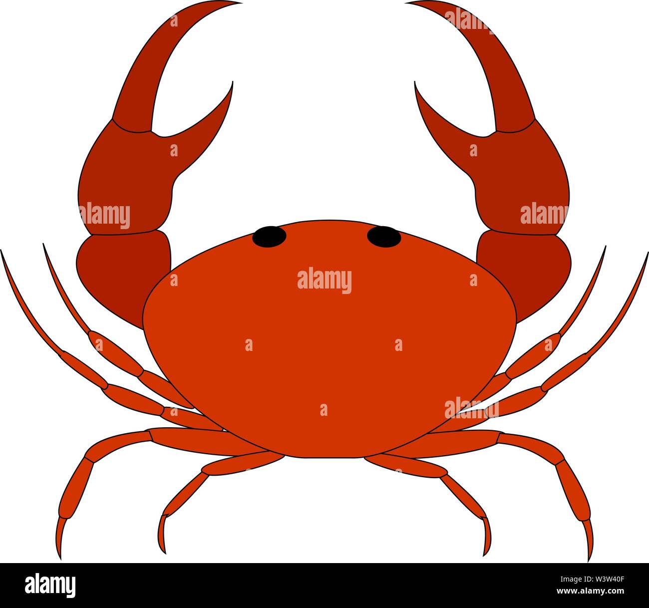Red crab, illustration, vector on white background Stock Vector Image ...