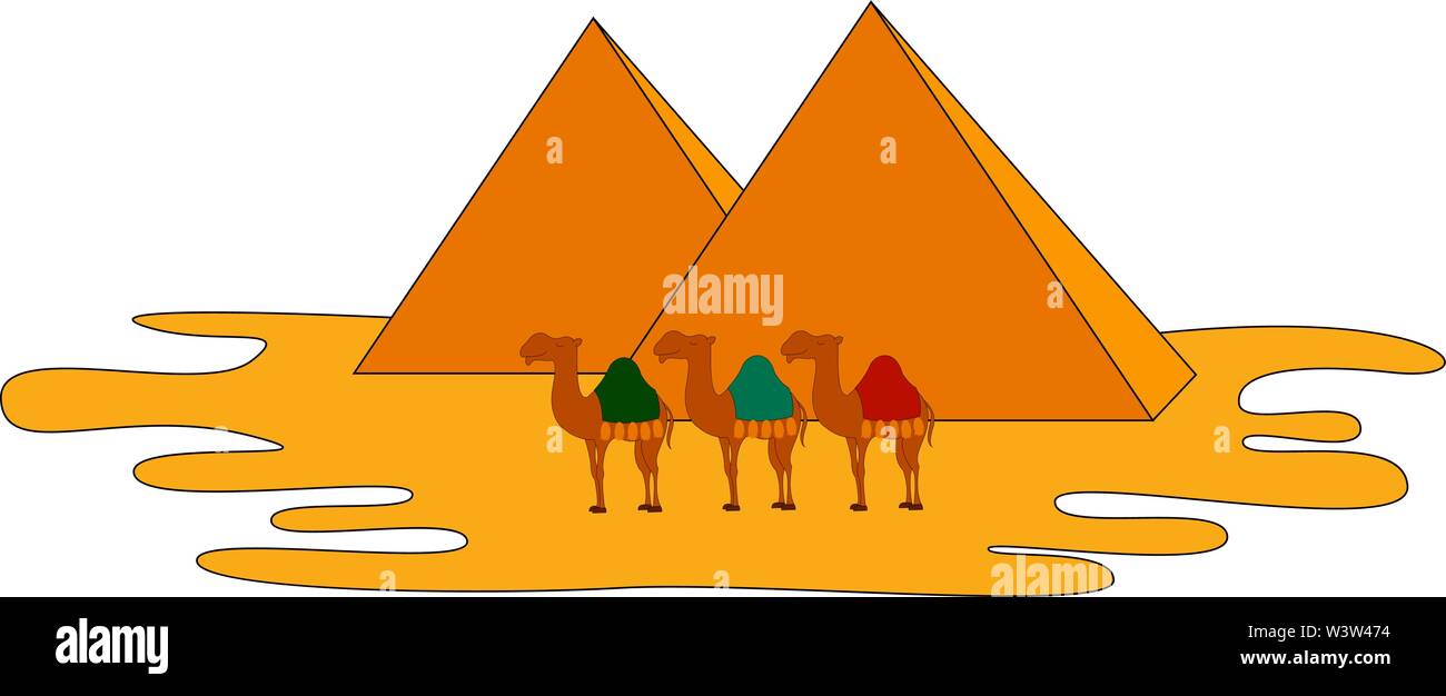 Camels and pyramids, illustration, vector on white background Stock ...
