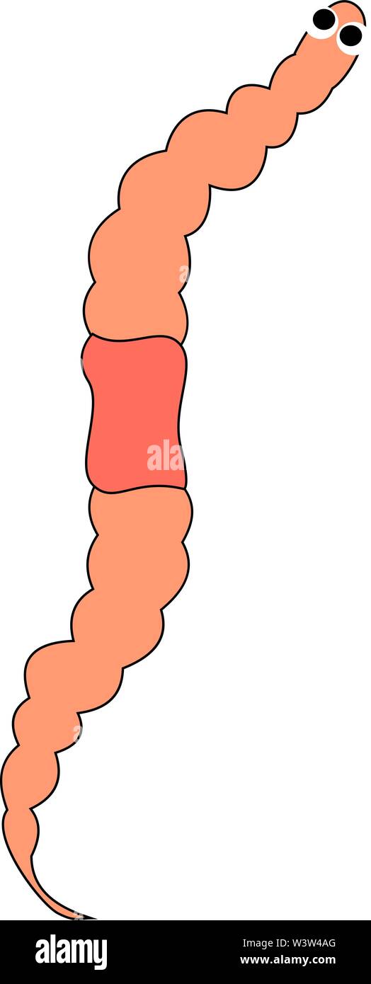 Earthworm illustration hi-res stock photography and images - Alamy