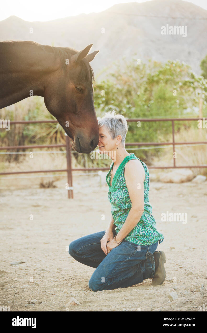 Animal helpers hi-res stock photography and images - Alamy