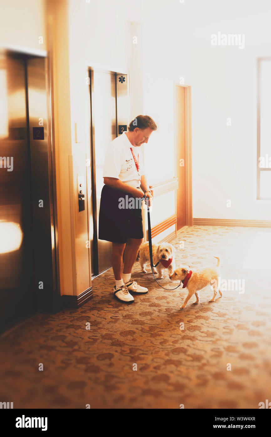 Hospice dog hi-res stock photography and images - Alamy