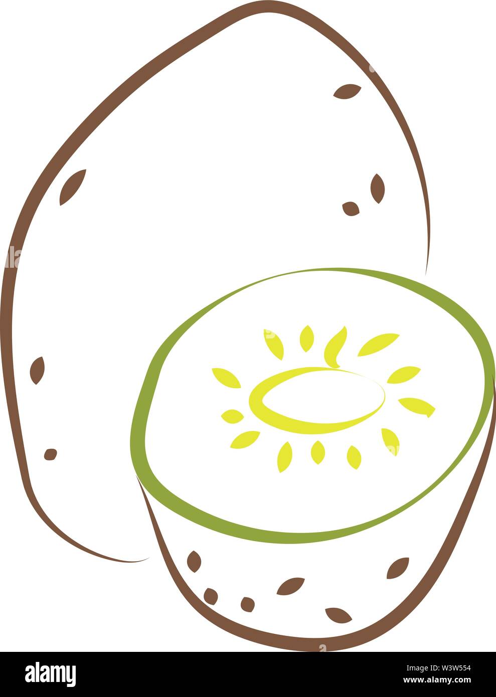 Kiwi drawing, illustration, vector on white background Stock Vector ...