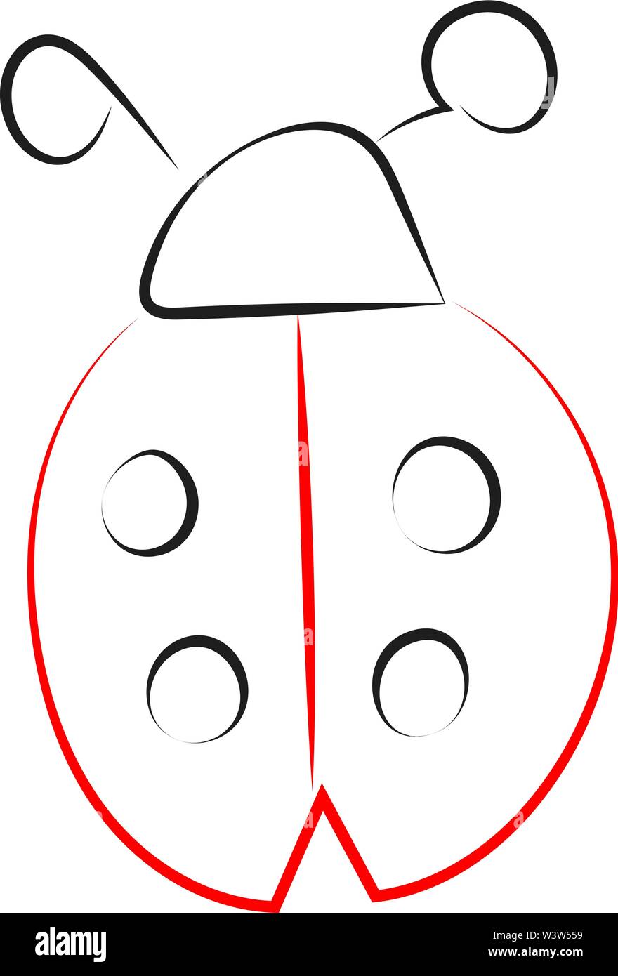 Ladybug drawing, illustration, vector on white background Stock Vector ...