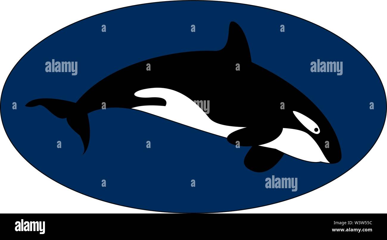 Killer whale underwater, illustration, vector on white background Stock ...