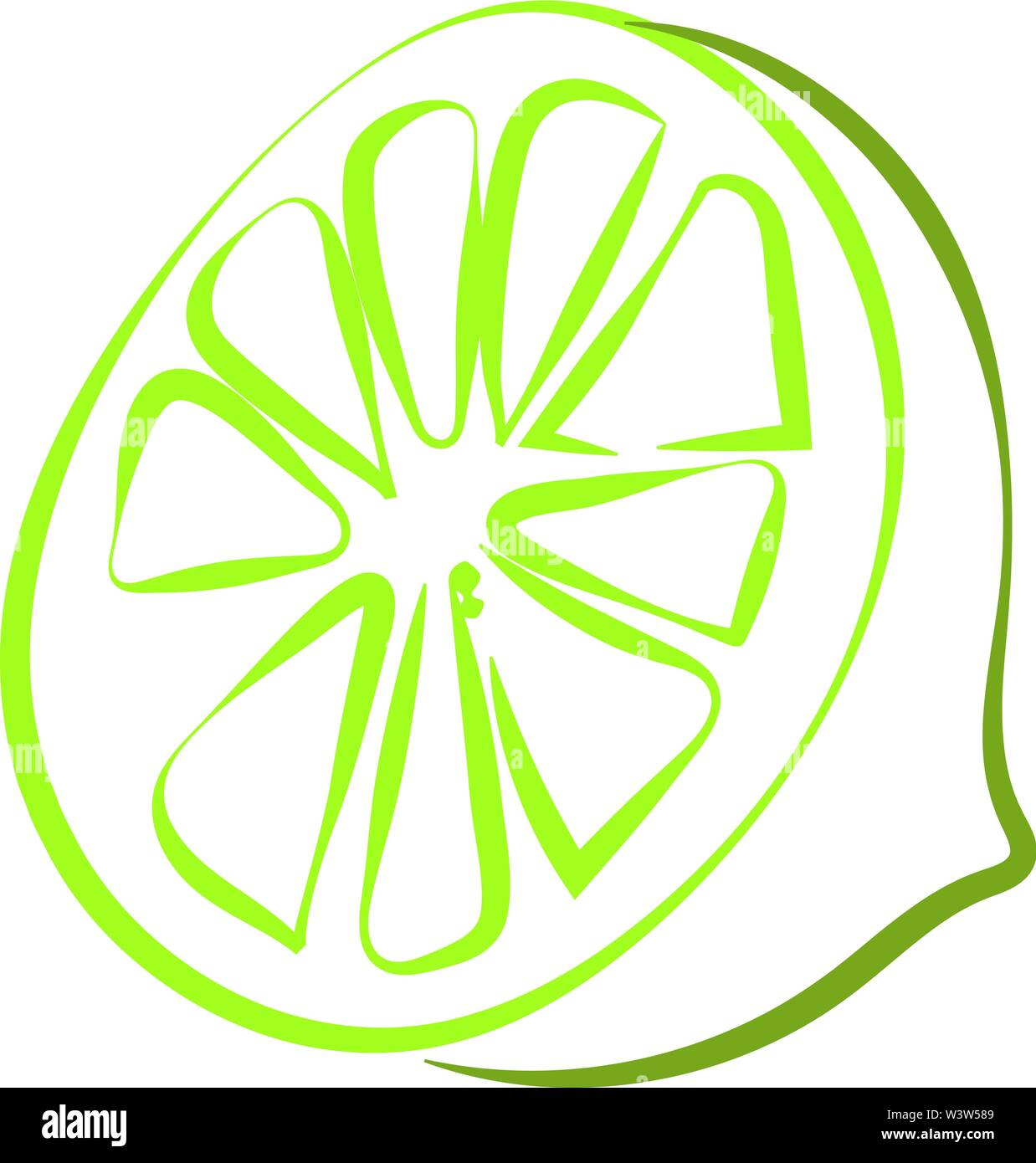 Green lime drawing, illustration, vector on white background Stock ...