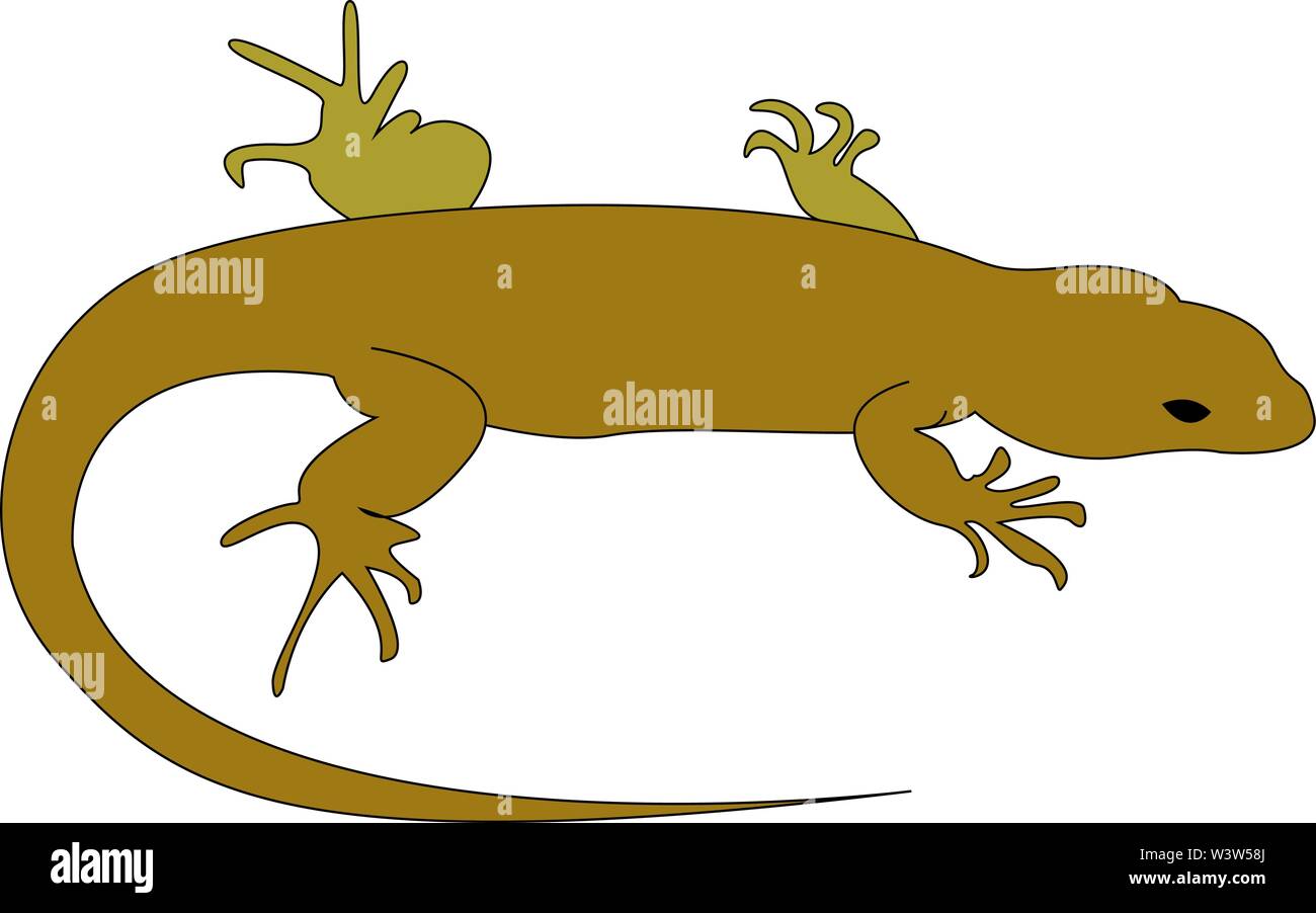 Brown lizard, illustration, vector on white background Stock Vector ...