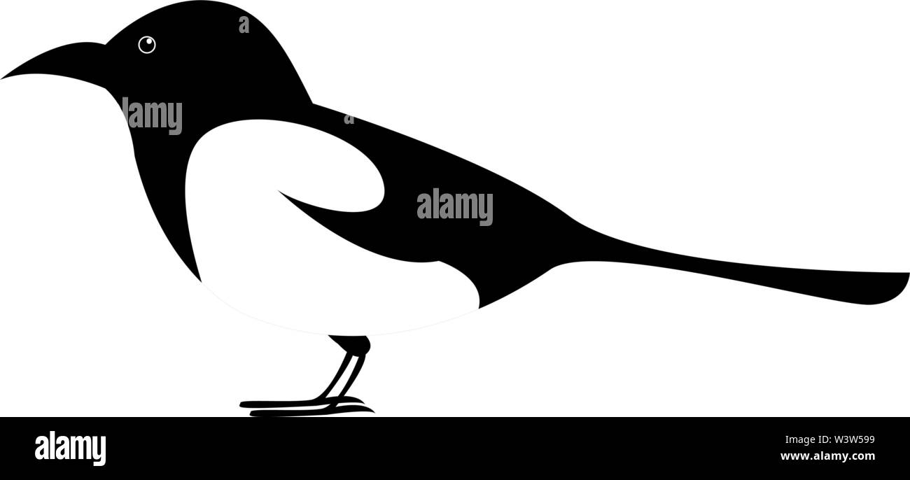 Magpie bird, illustration, vector on white background Stock Vector ...