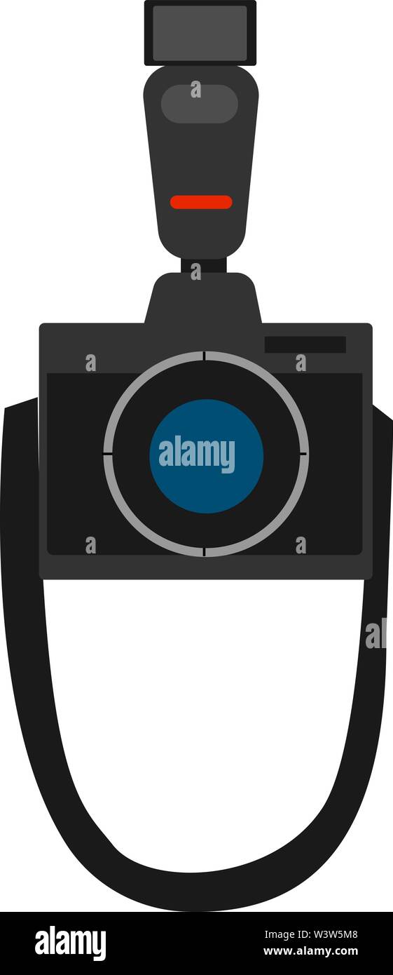 Black photo camera, illustration, vector on white background Stock ...