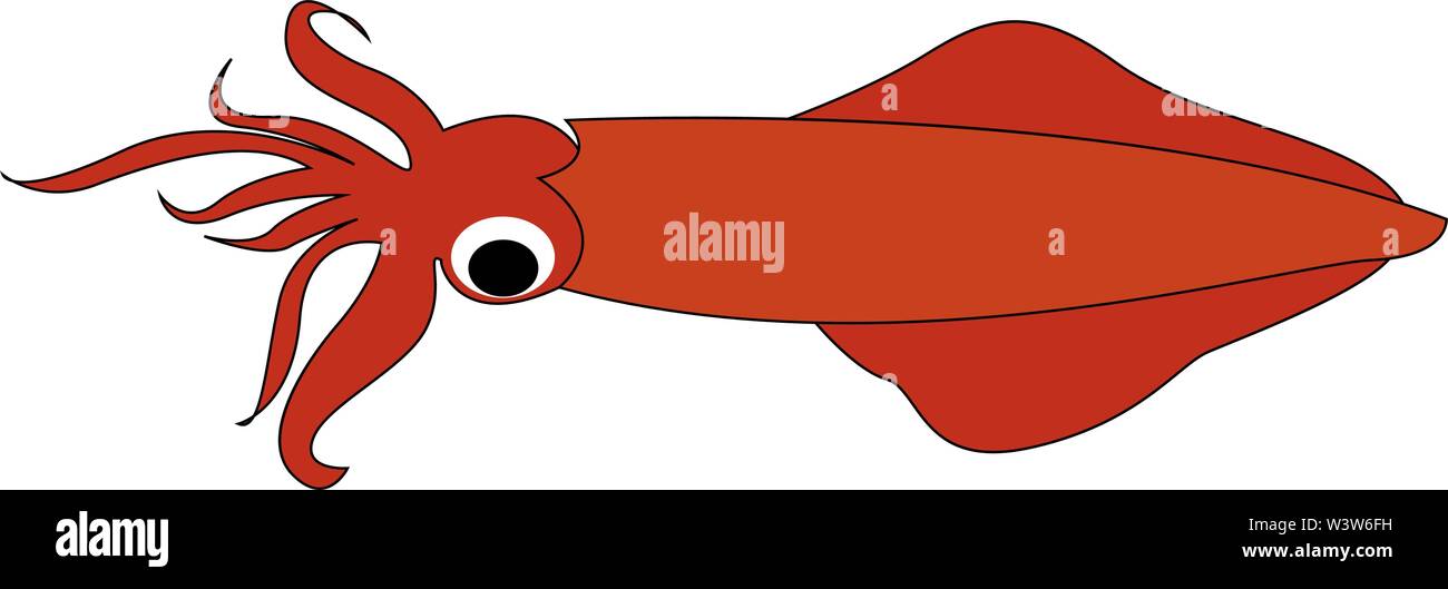 Squid cartoons hi-res stock photography and images - Alamy