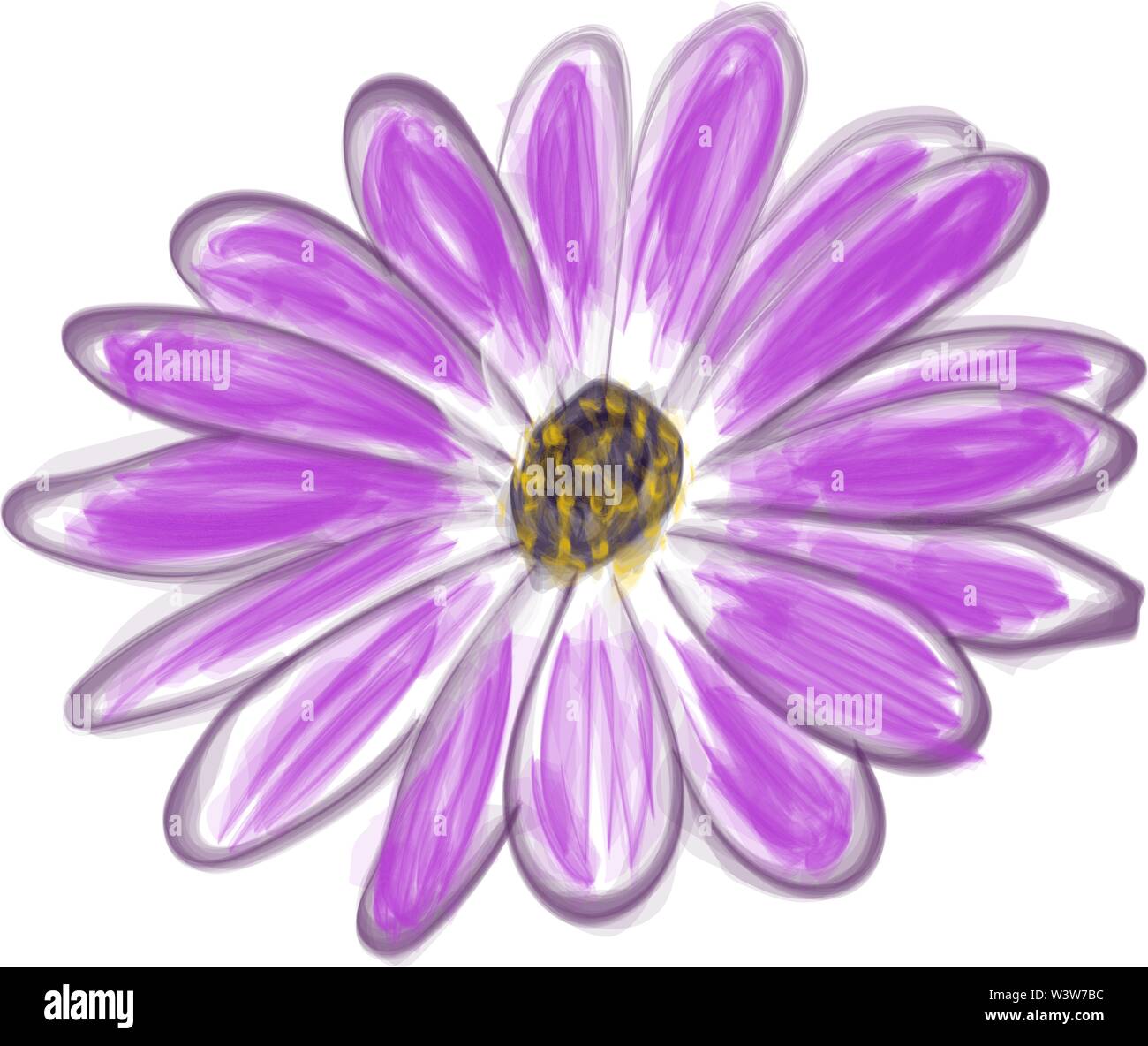 Purple african daisy, illustration, vector on white background Stock ...