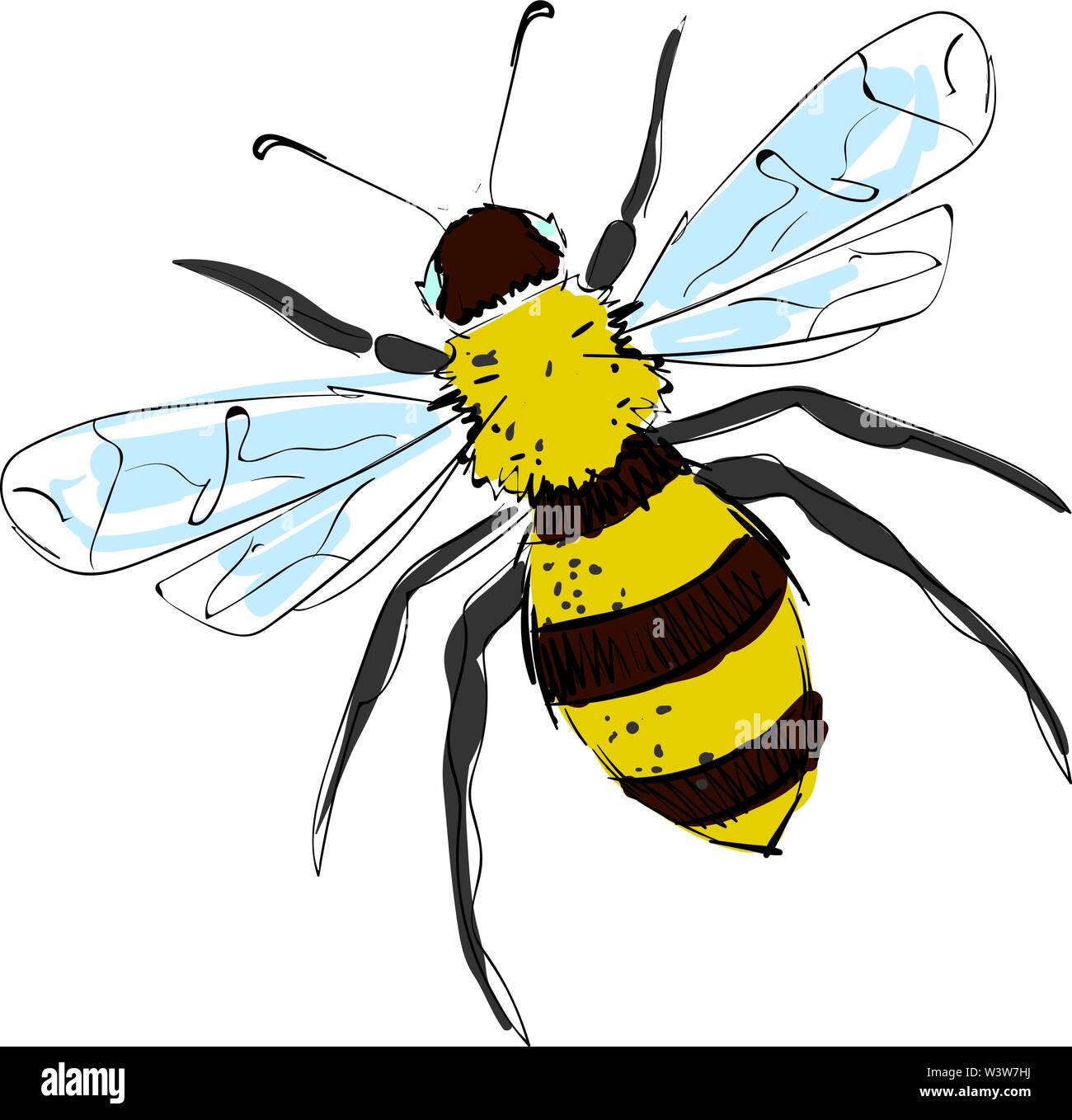 Nice drawing of bee, illustration, vector on white background Stock ...