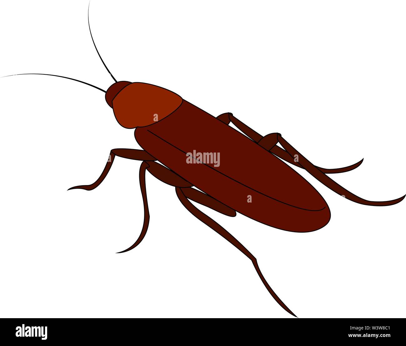 Brown cockroach, illustration, vector on white background Stock Vector ...