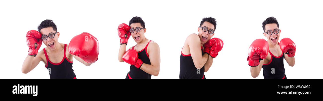The funny boxer isolated on the white background Stock Photo - Alamy