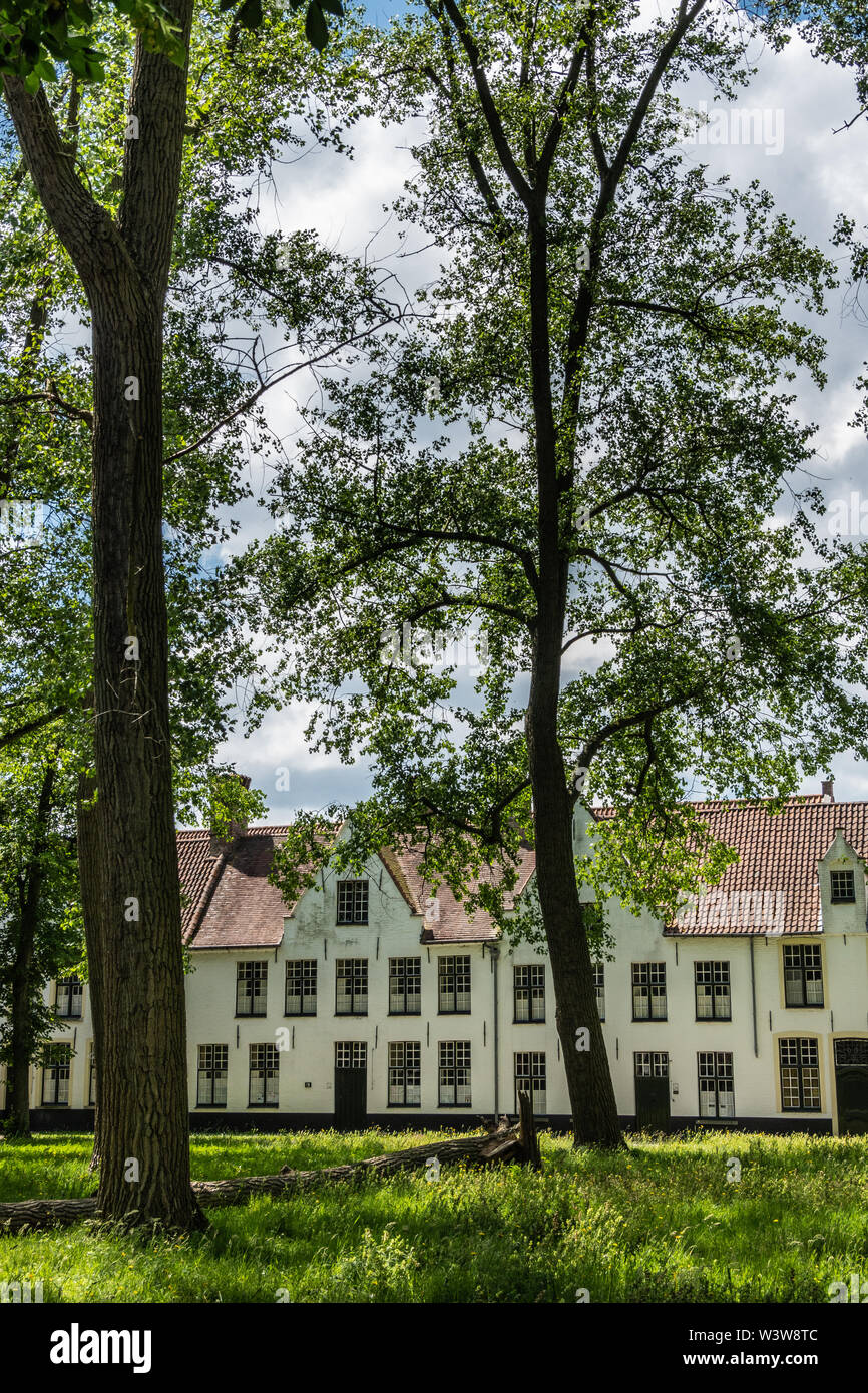 Enclosed nun hi-res stock photography and images - Alamy