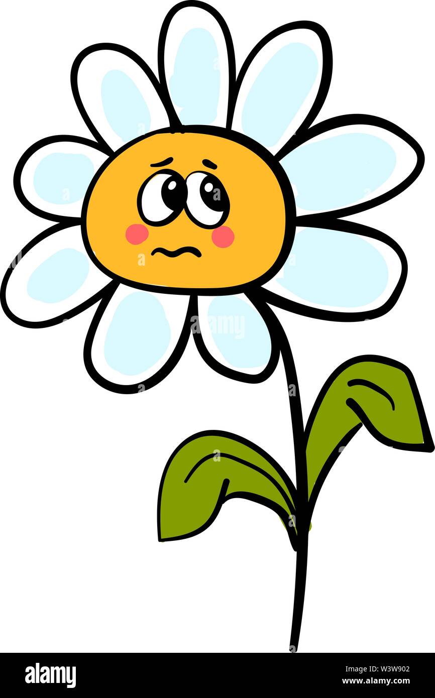 Sad daisy, illustration, vector on white background Stock Vector Image ...
