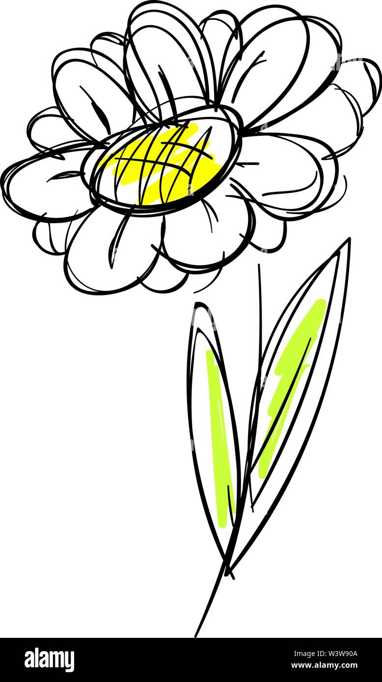 Daisy drawing, illustration, vector on white background Stock Vector ...