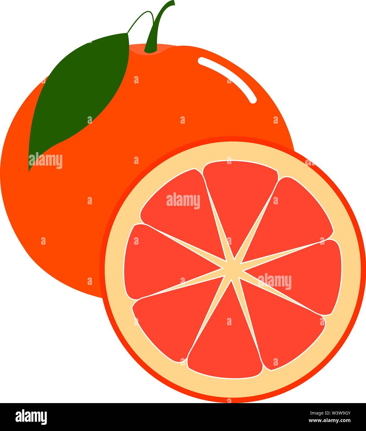 Fresh grapefruit juice on Stock Vector Images - Alamy