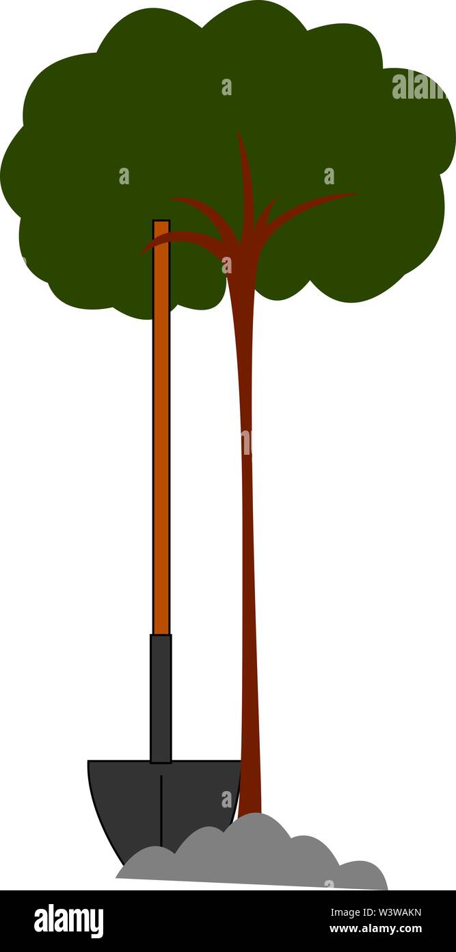 Young little tree, illustration, vector on white background Stock ...