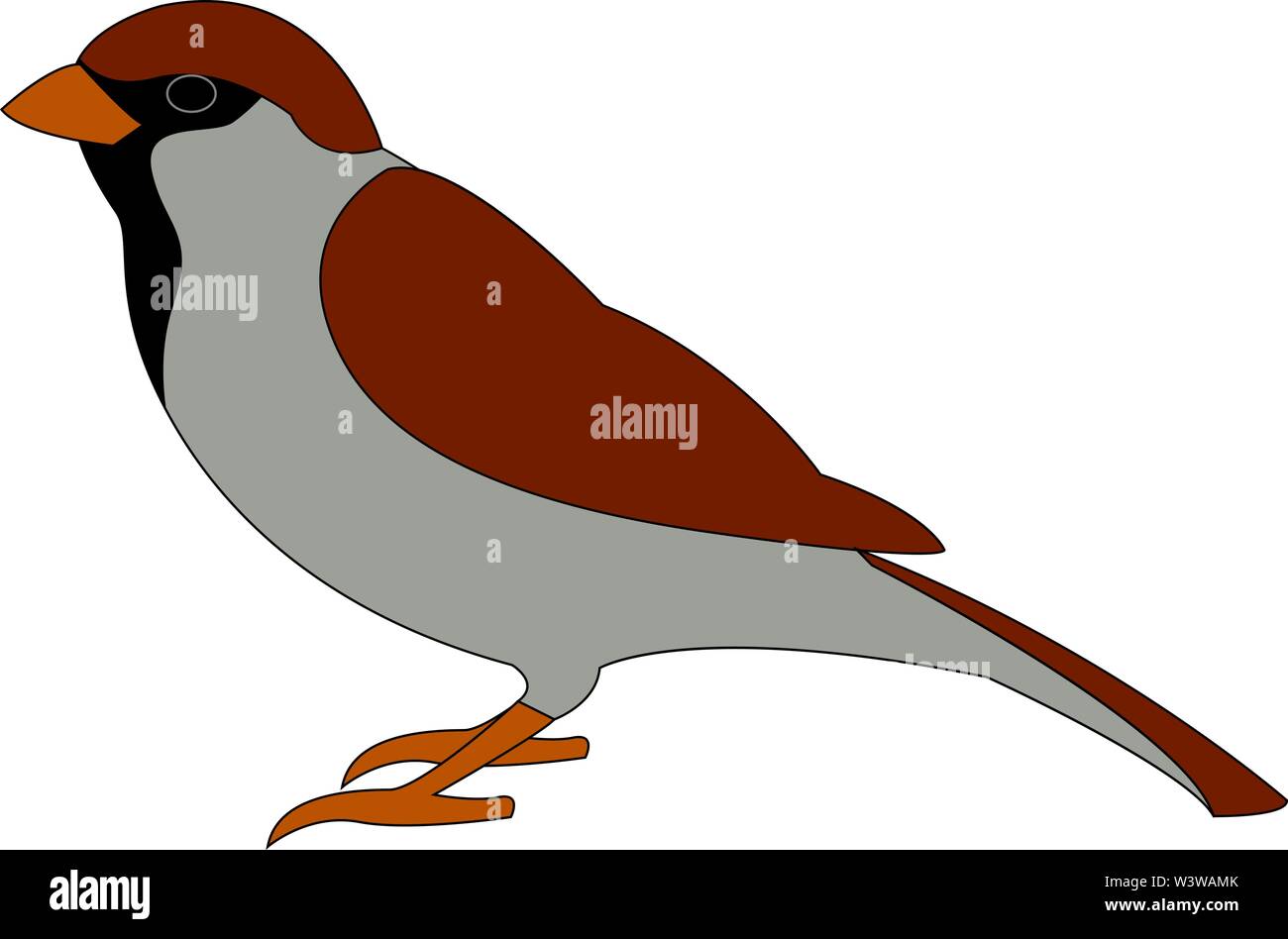 Little red sparrow, illustration, vector on white background Stock ...