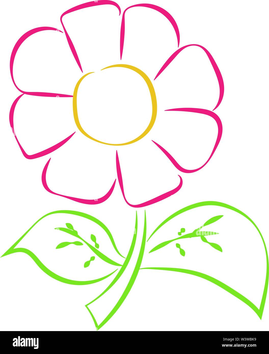 Pink flower drawing, illustration, vector on white background Stock ...
