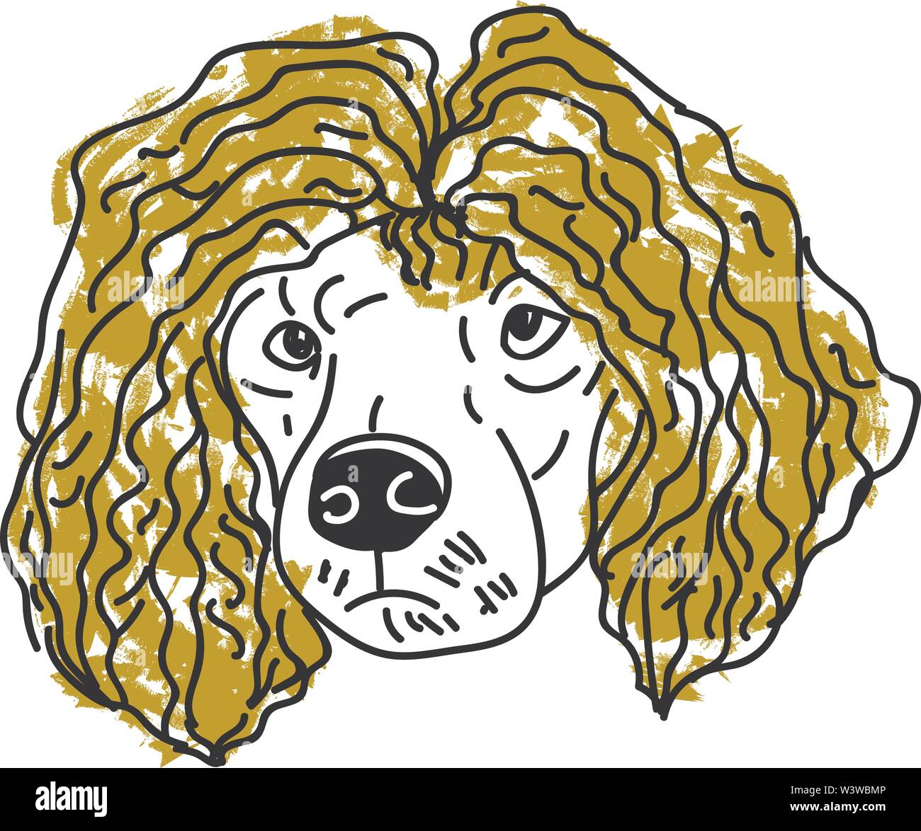 Poodle with hair, illustration, vector on white background Stock Vector ...