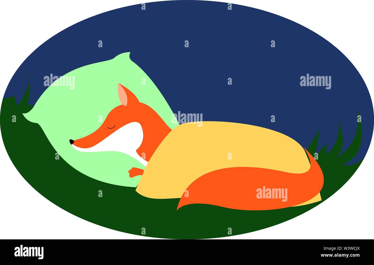 Red fox sleeping, illustration, vector on white background Stock Vector ...