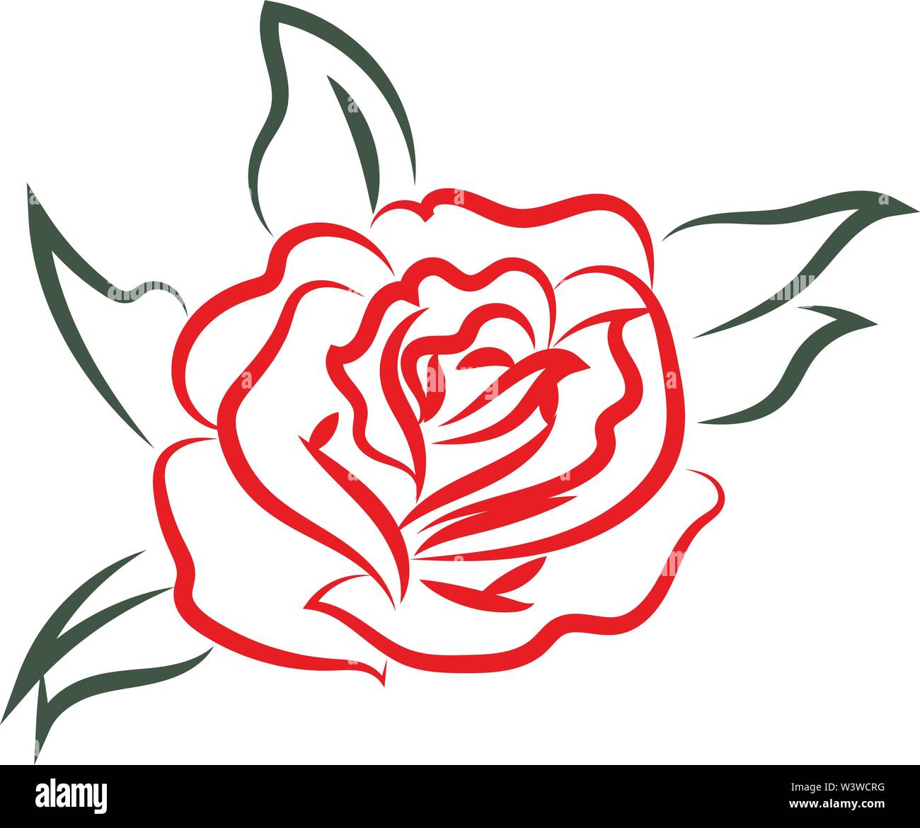 Red rose drawing, illustration, vector on white background Stock Vector ...