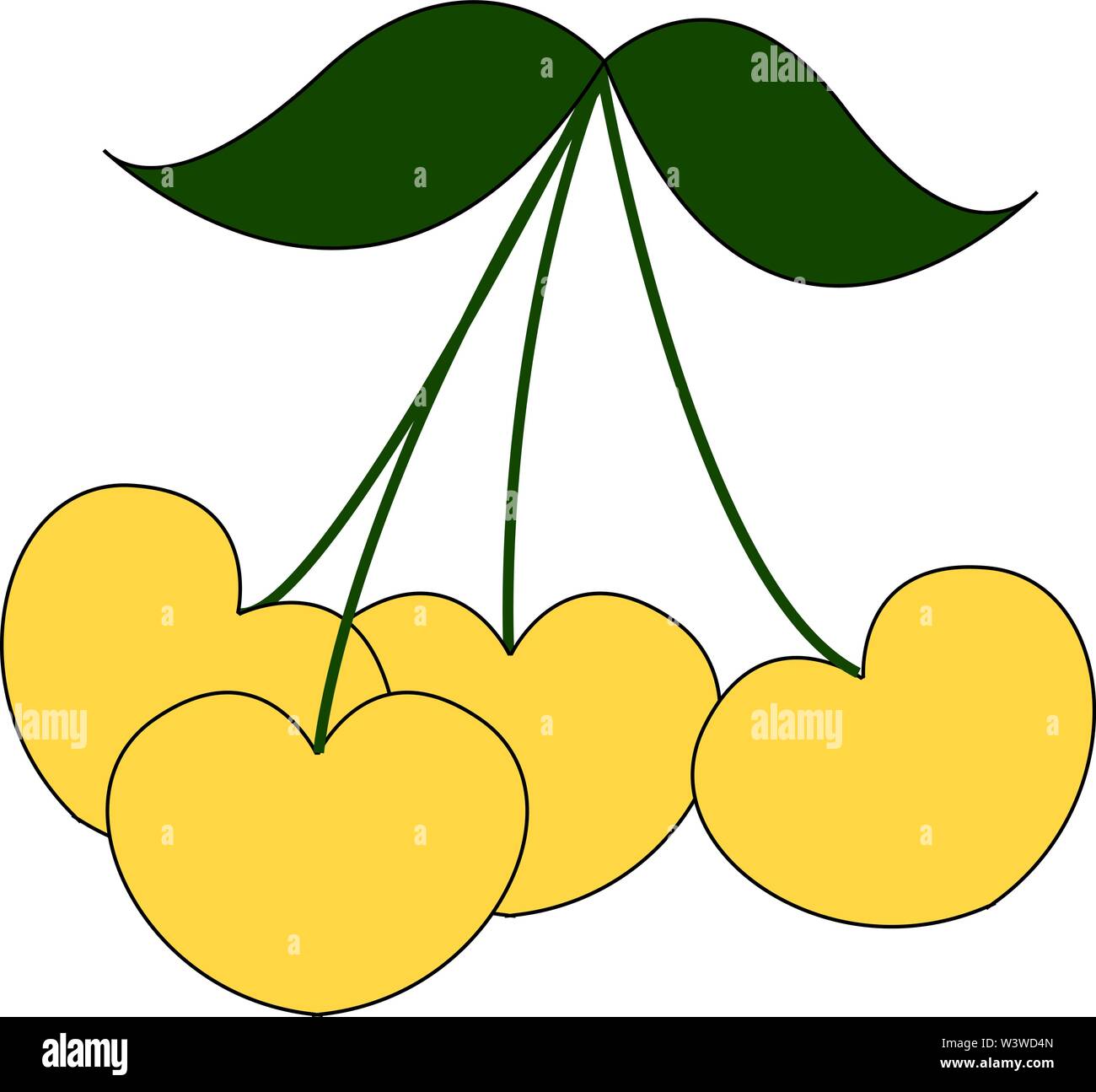 Yellow sweet cherry, illustration, vector on white background Stock ...