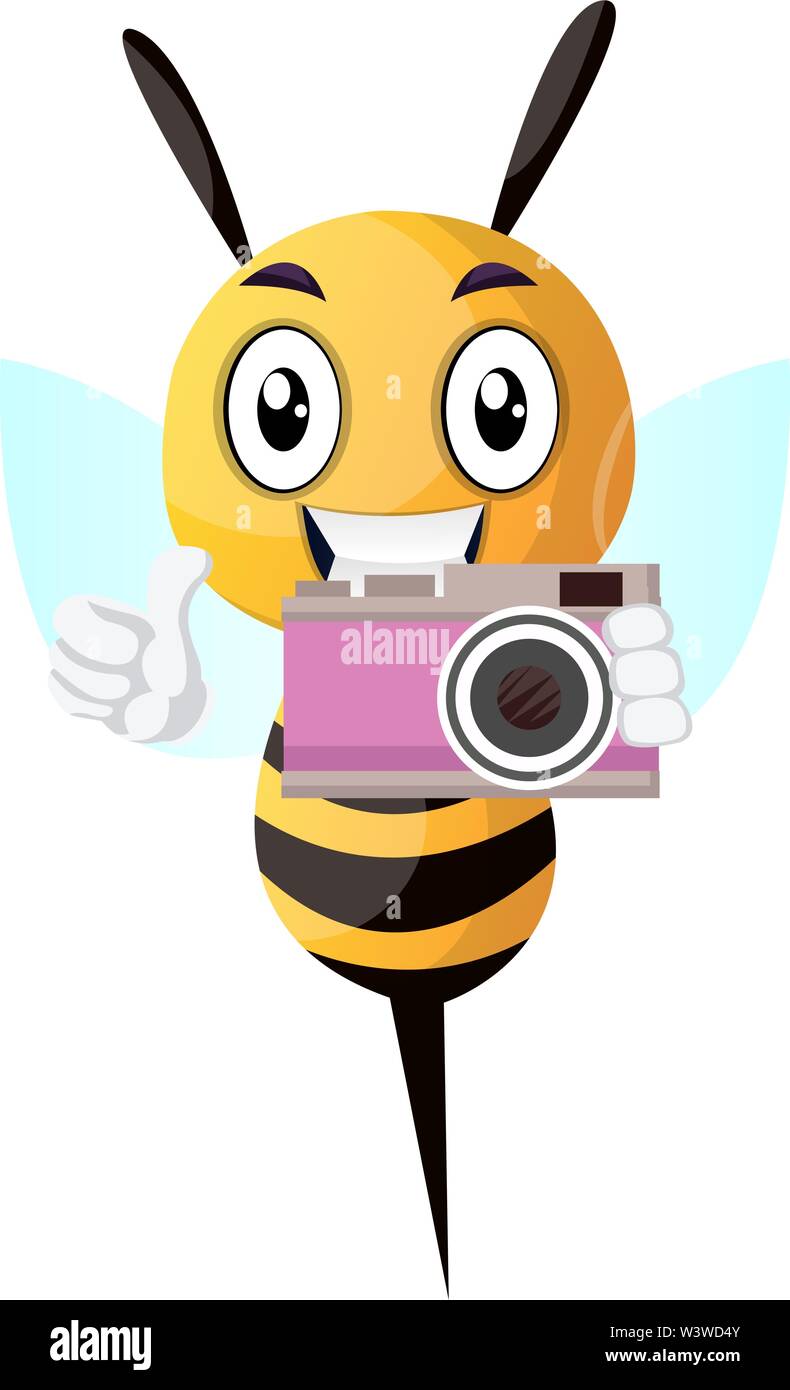 Bee holding a camera, illustration, vector on white background Stock ...
