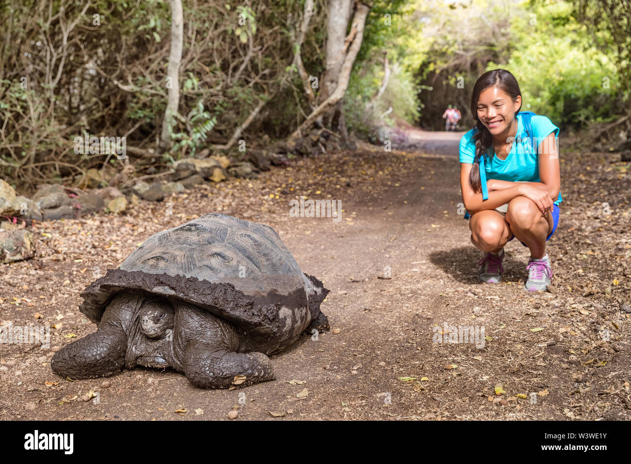 Galapagos Giant Tortoise and tourist woman on Santa Cruz Island ...