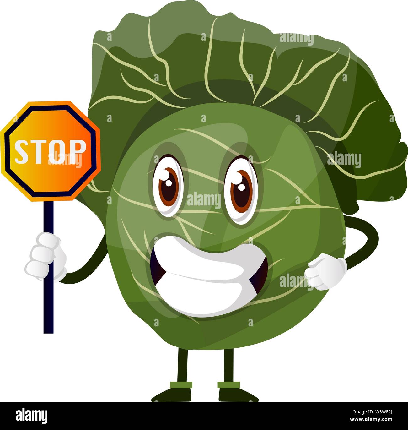Cabbage is holding a stop sign, illustration, vector on white ...